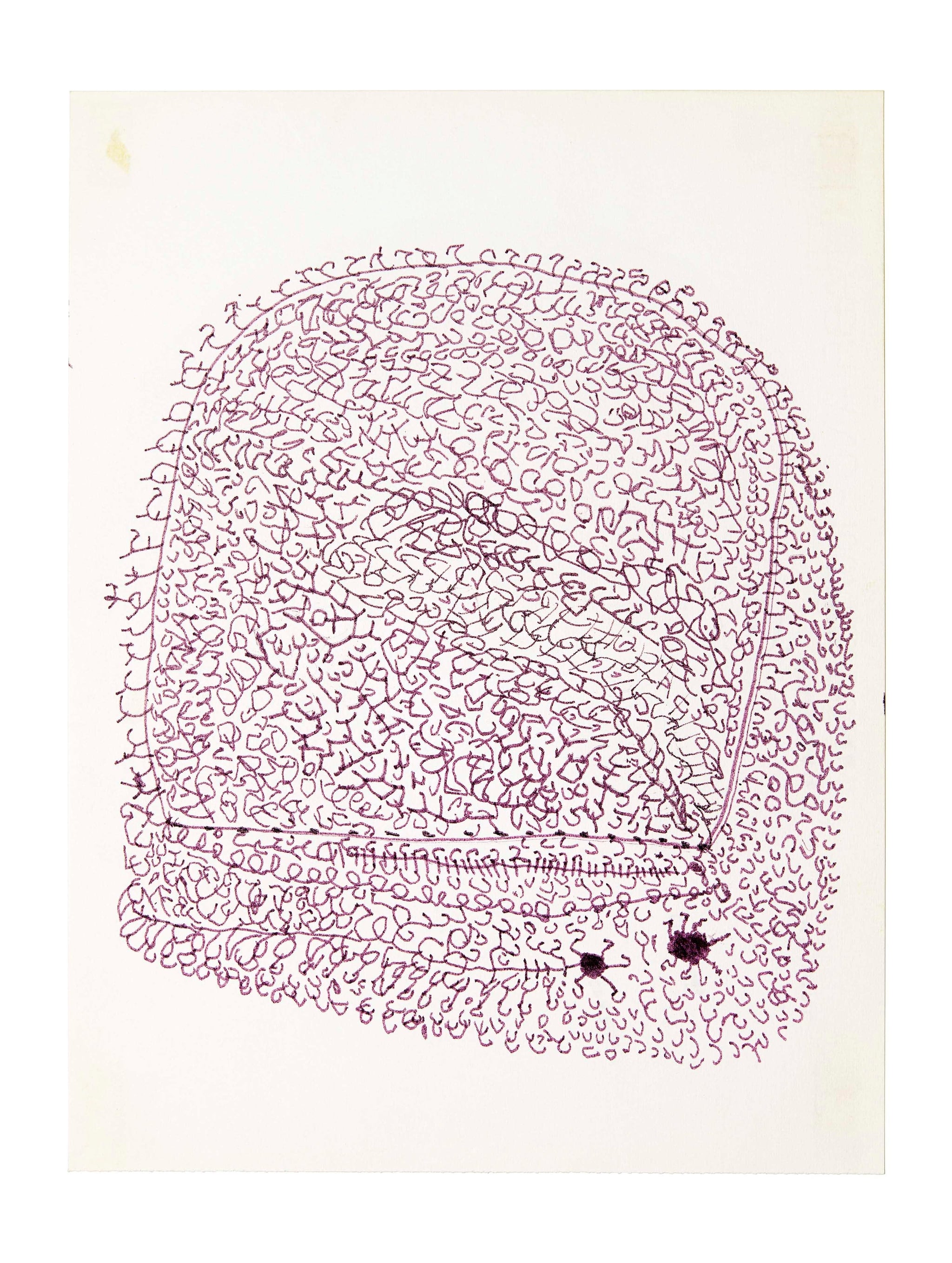 The Yanomami Struggle - The Shed